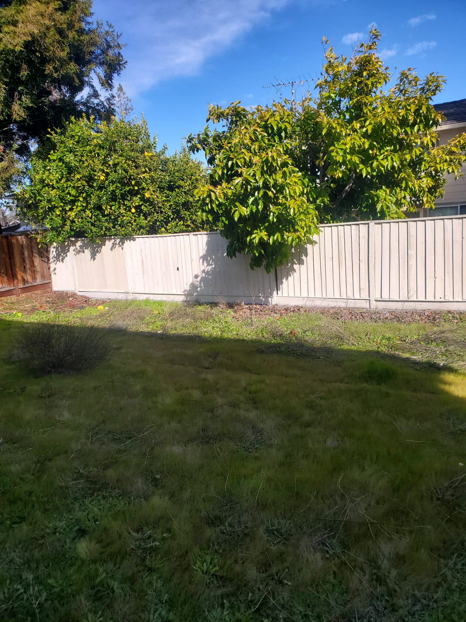 Our Services – Blue Ribbon Painting